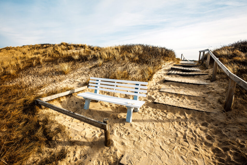 Wissenswertes über die Insel - Sylt to Hus